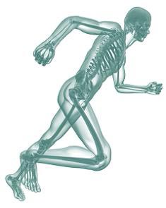 Physiotherapy and Rehabilitation | Spire Dunedin Hospital, Reading ...